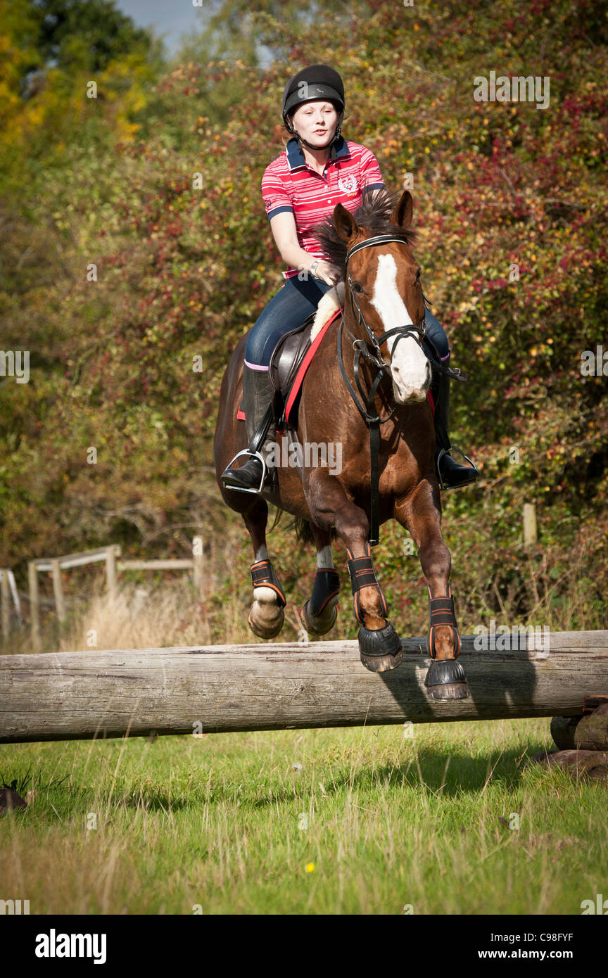 Equestrian jumping cross country hi-res stock photography and images ...