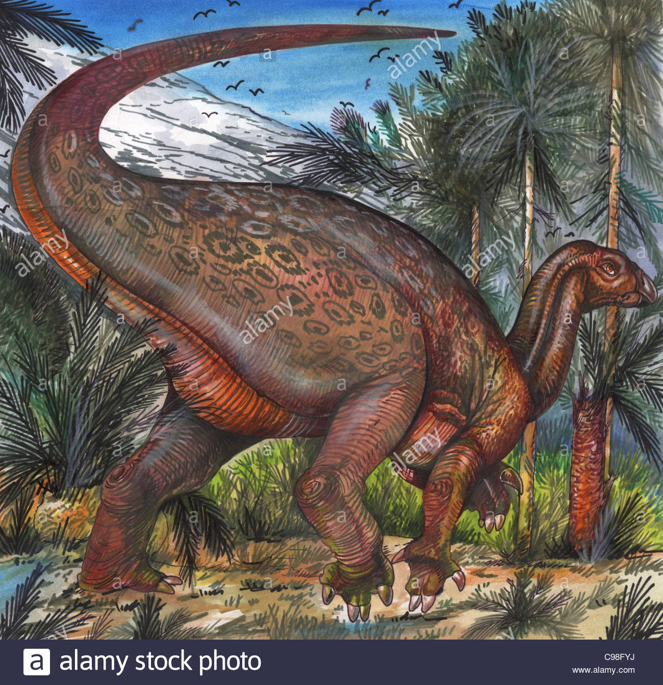 Sauropoda Stock Photos & Sauropoda Stock Images - Alamy