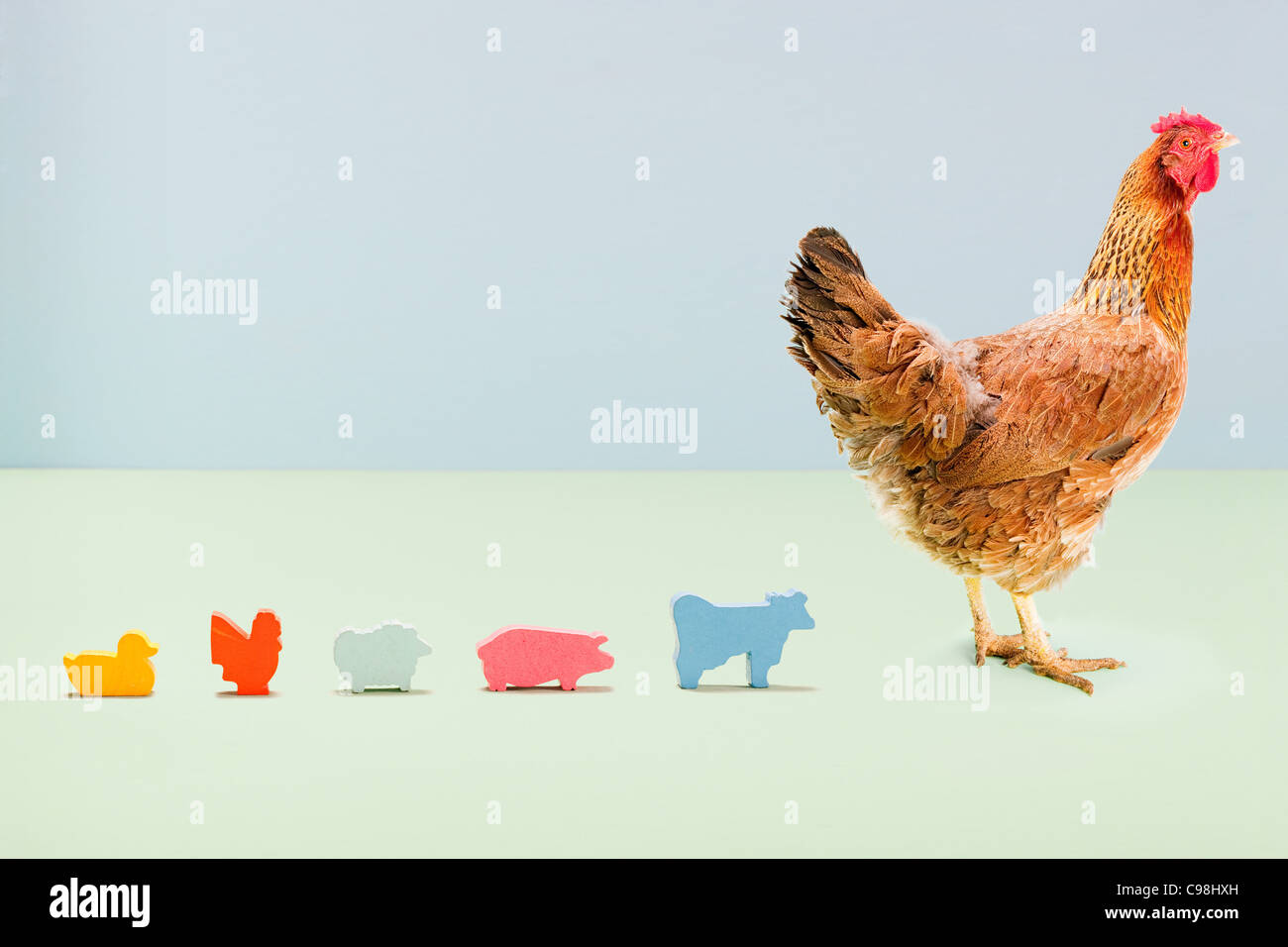 Farmyard animals hi-res stock photography and images - Alamy