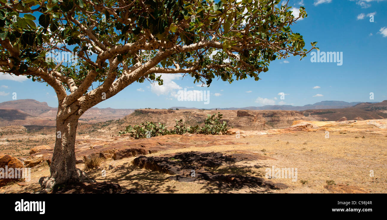Breathtaking views from the mountain-top monastery Debre Damo on the ...