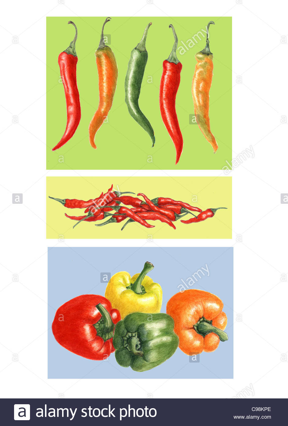 Chilli Varieties Stock Photos & Chilli Varieties Stock Images - Alamy