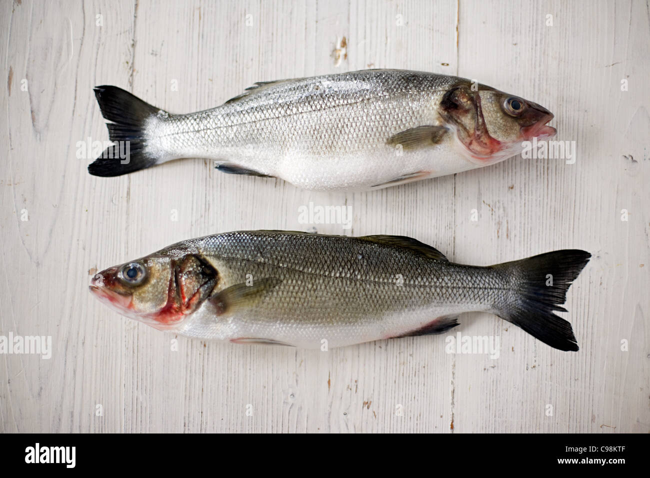 Two fresh salmons Stock Photo - Alamy