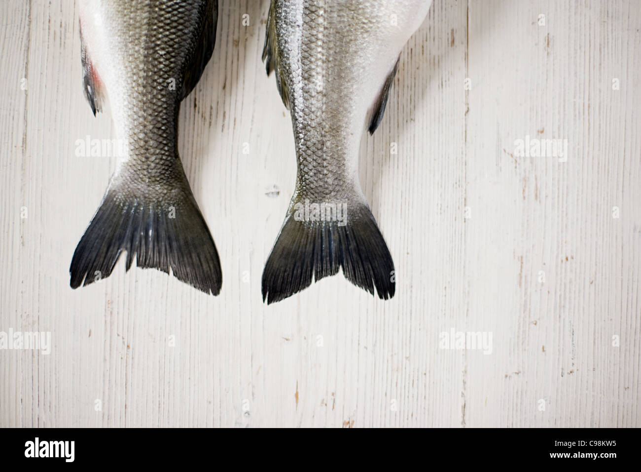 The tails two fish side by side Stock Photo - Alamy