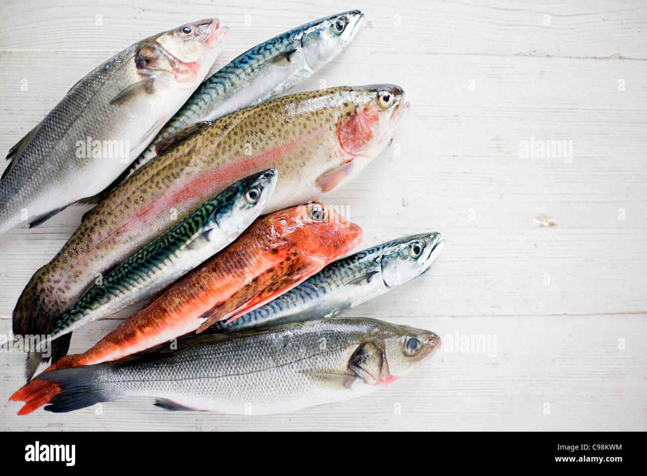A selection raw fish Stock Photo - Alamy