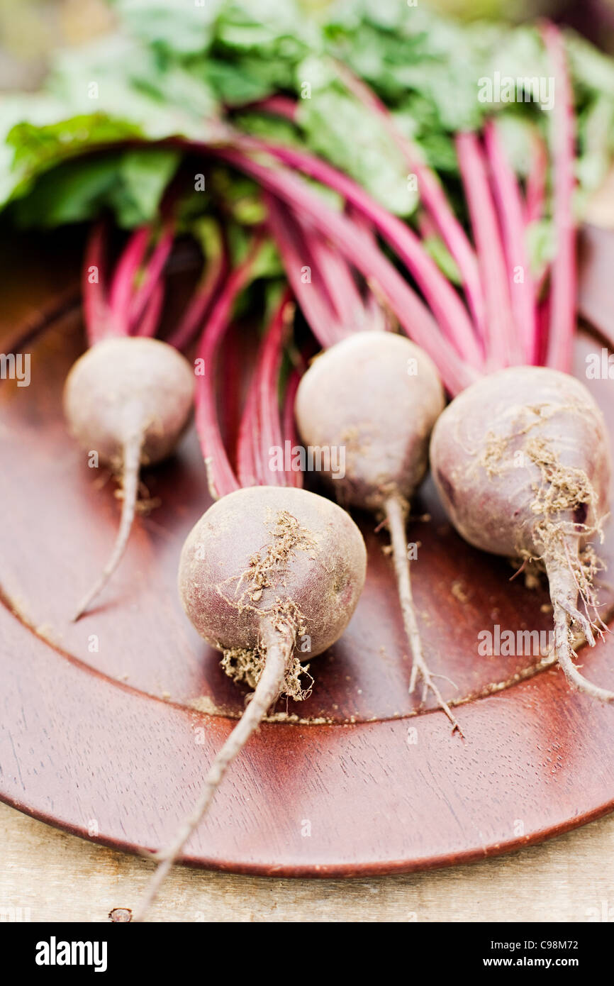 Fresh beetroot with stems Stock Photo - Alamy