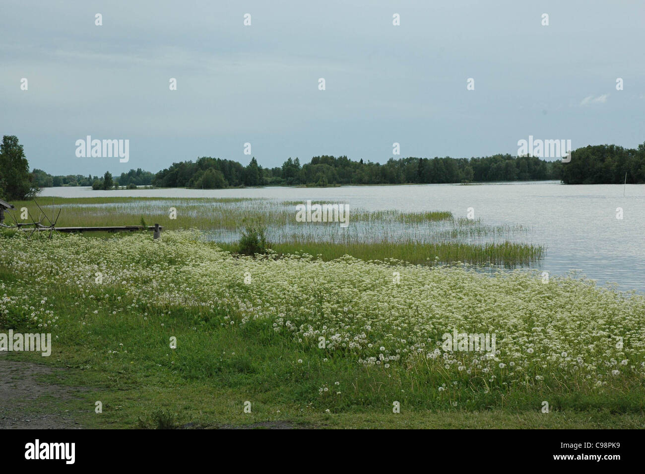 Kiji island and the Onega, KIJI island in the Onega lake. In June ...