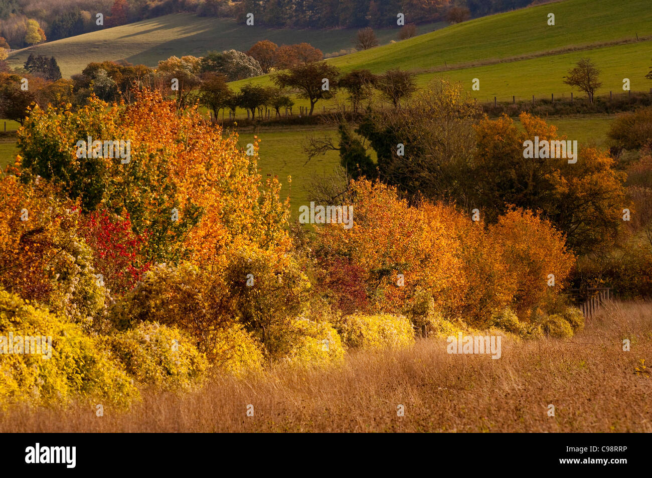 The chiltern hills hi-res stock photography and images - Alamy