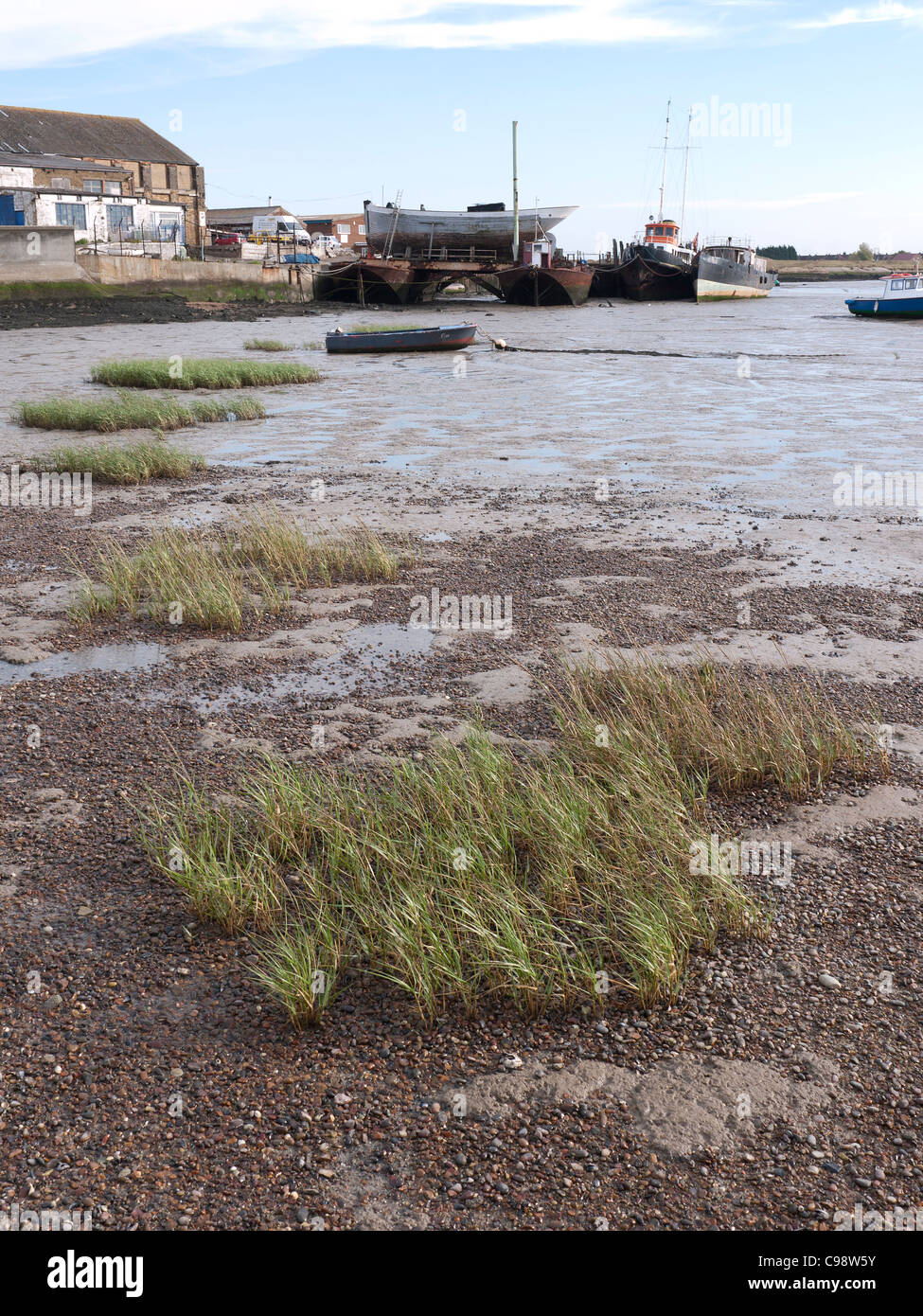 Grass Growing in the mud shore line Queenbrough Sheppy Kent Stock Photo ...