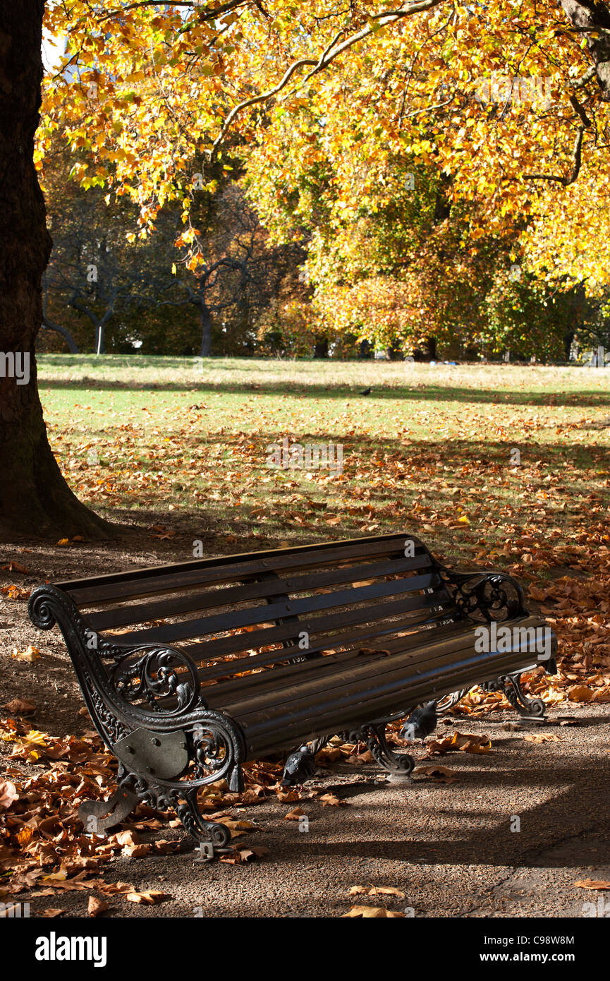 park bench Green Park London Stock Photo - Alamy