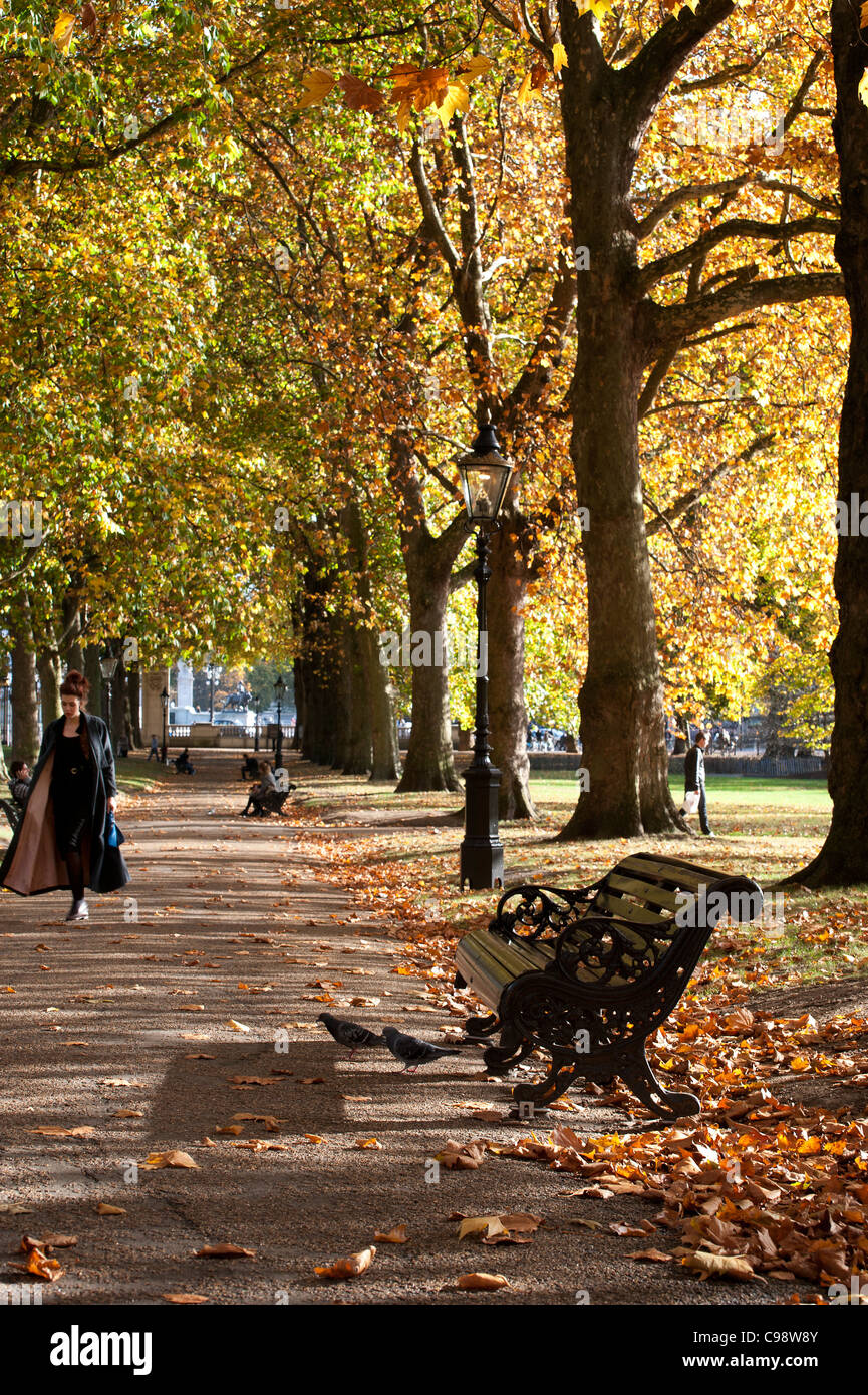 park bench Green Park London Stock Photo - Alamy