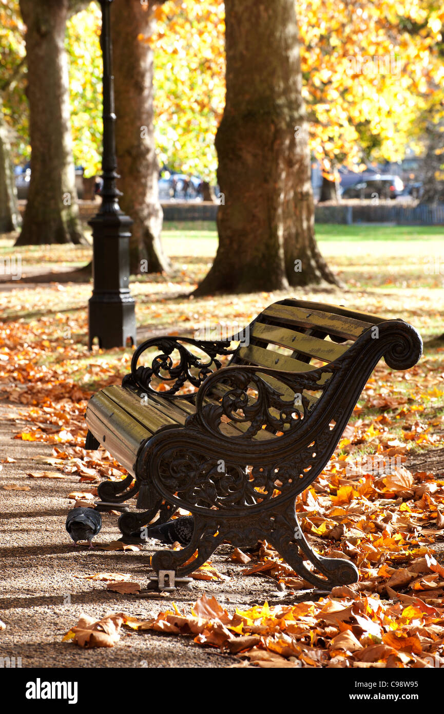 park bench Green Park London Stock Photo - Alamy