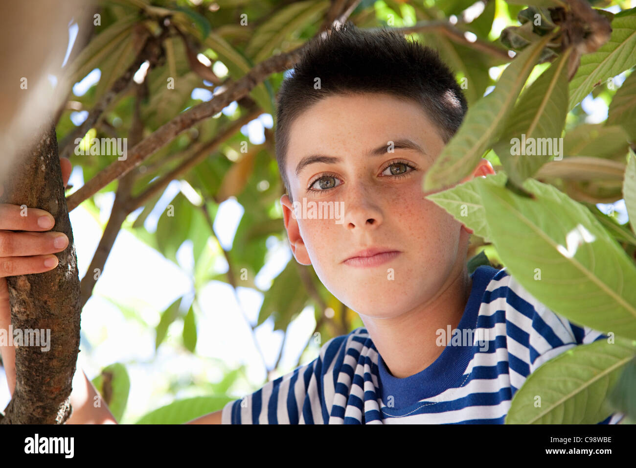 Boy climbing tree, portrait Stock Photo - Alamy