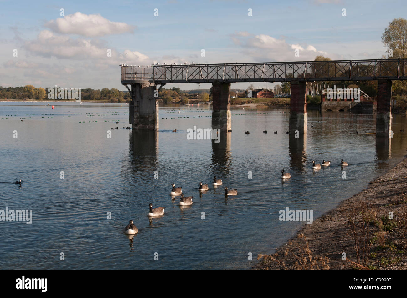 Shustoke Reservoir, Warwickshire, England, UK Stock Photo - Alamy