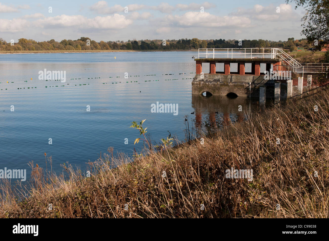 Shustoke Reservoir, Warwickshire, England, UK Stock Photo - Alamy