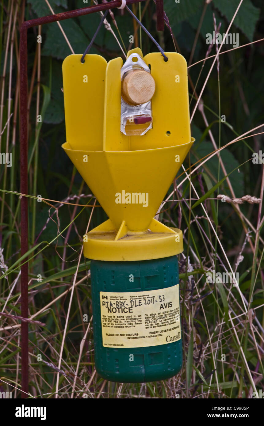 How to bug catcher hi-res stock photography and images - Alamy