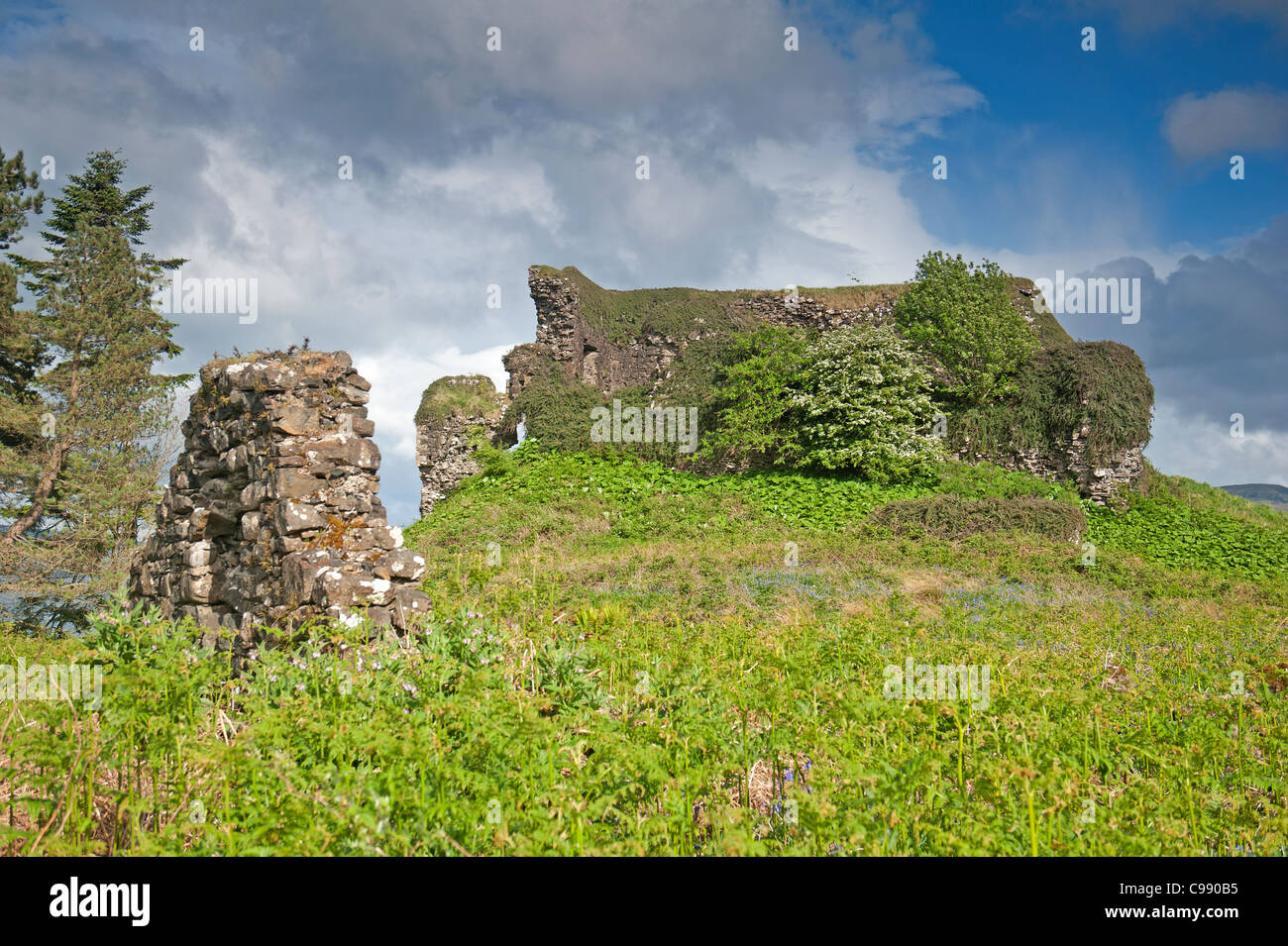 Aros Castle ruins, Isleof Mull, Scotland. SCO 7728 Stock Photo - Alamy