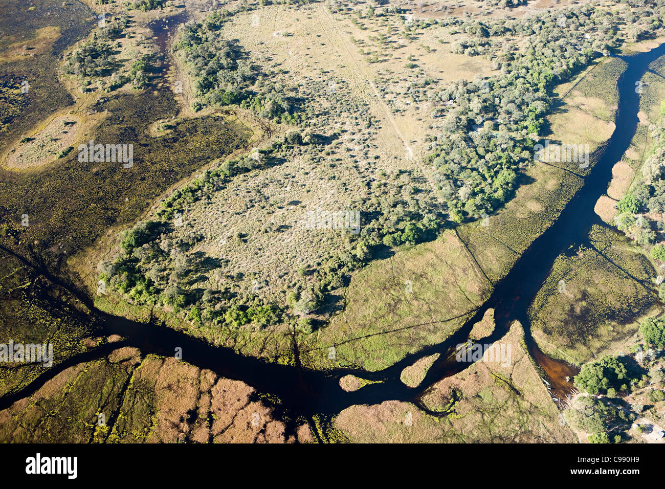 Aerial view of the Okavango Delta outside of Maun, Botswana Stock Photo ...
