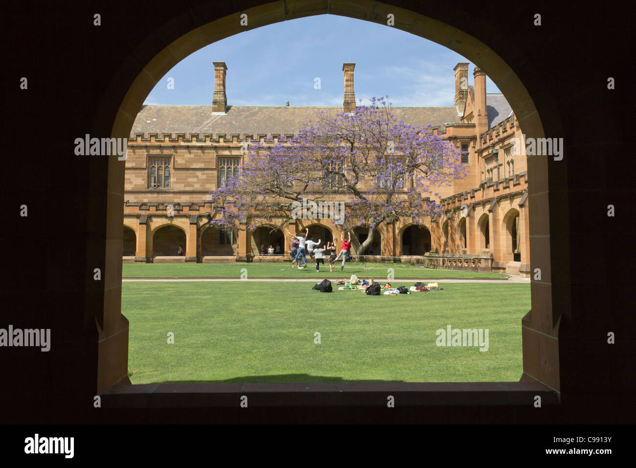 University of Sydney main quadrangle, Sydney, Australia Stock Photo - Alamy