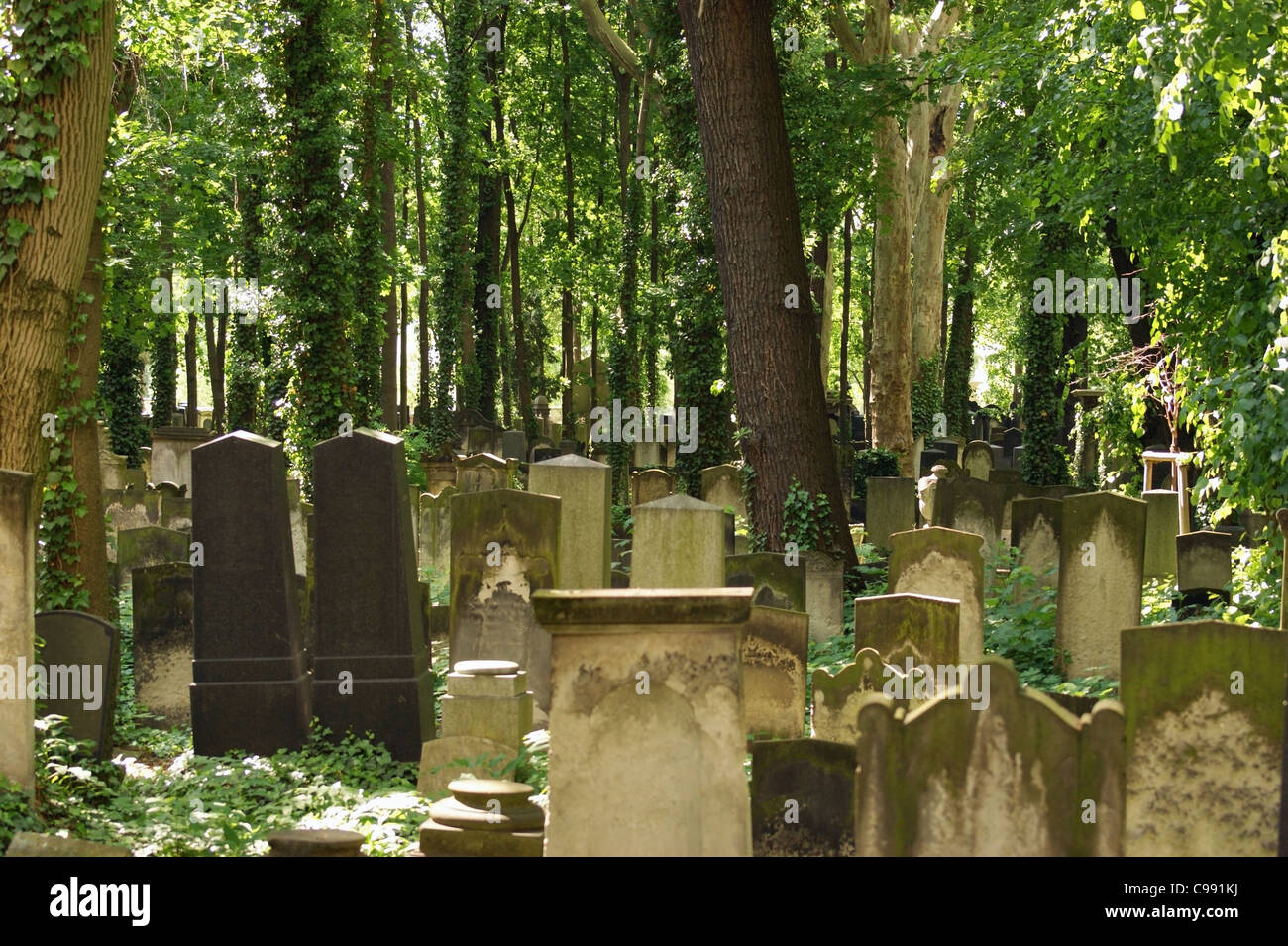 Berlin old jewish cemetery hi-res stock photography and images - Alamy