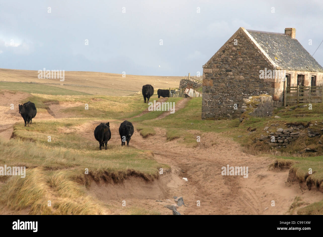 rural scenery with farm animals Stock Photo - Alamy