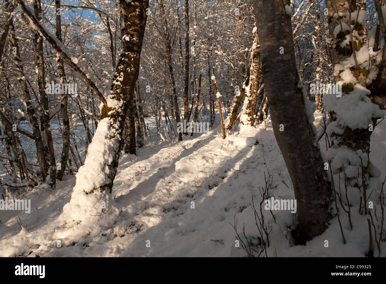 Beautiful Winter day in the country Stock Photo - Alamy