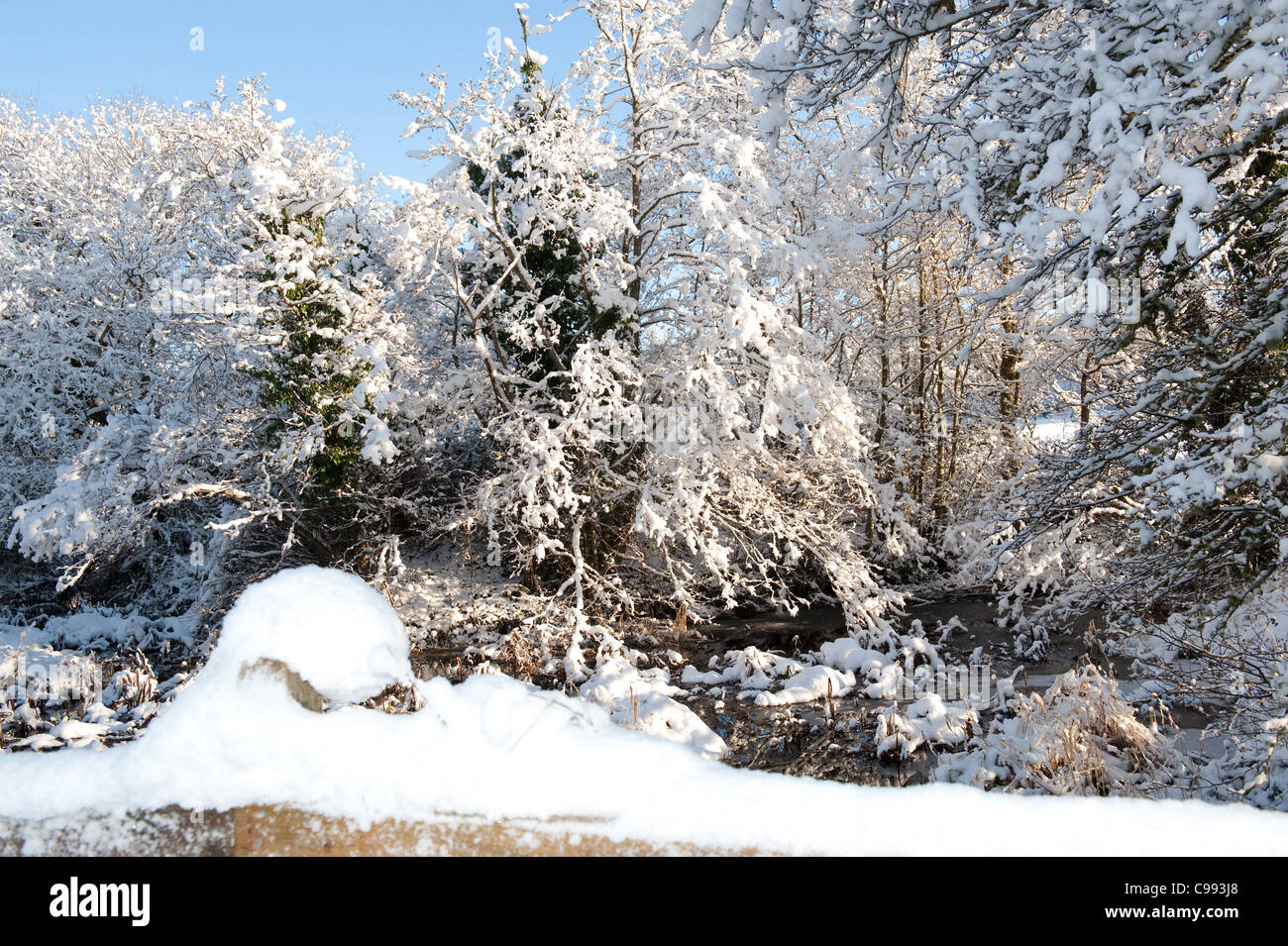 Outdoors at day with walk way in winter hi-res stock photography and ...