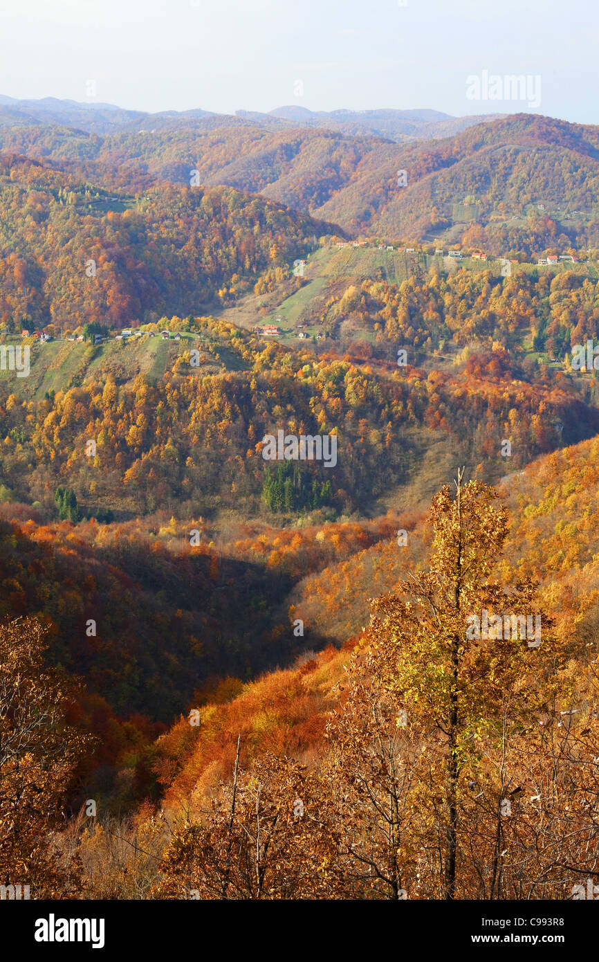 Mountain trees fall time hi-res stock photography and images - Alamy