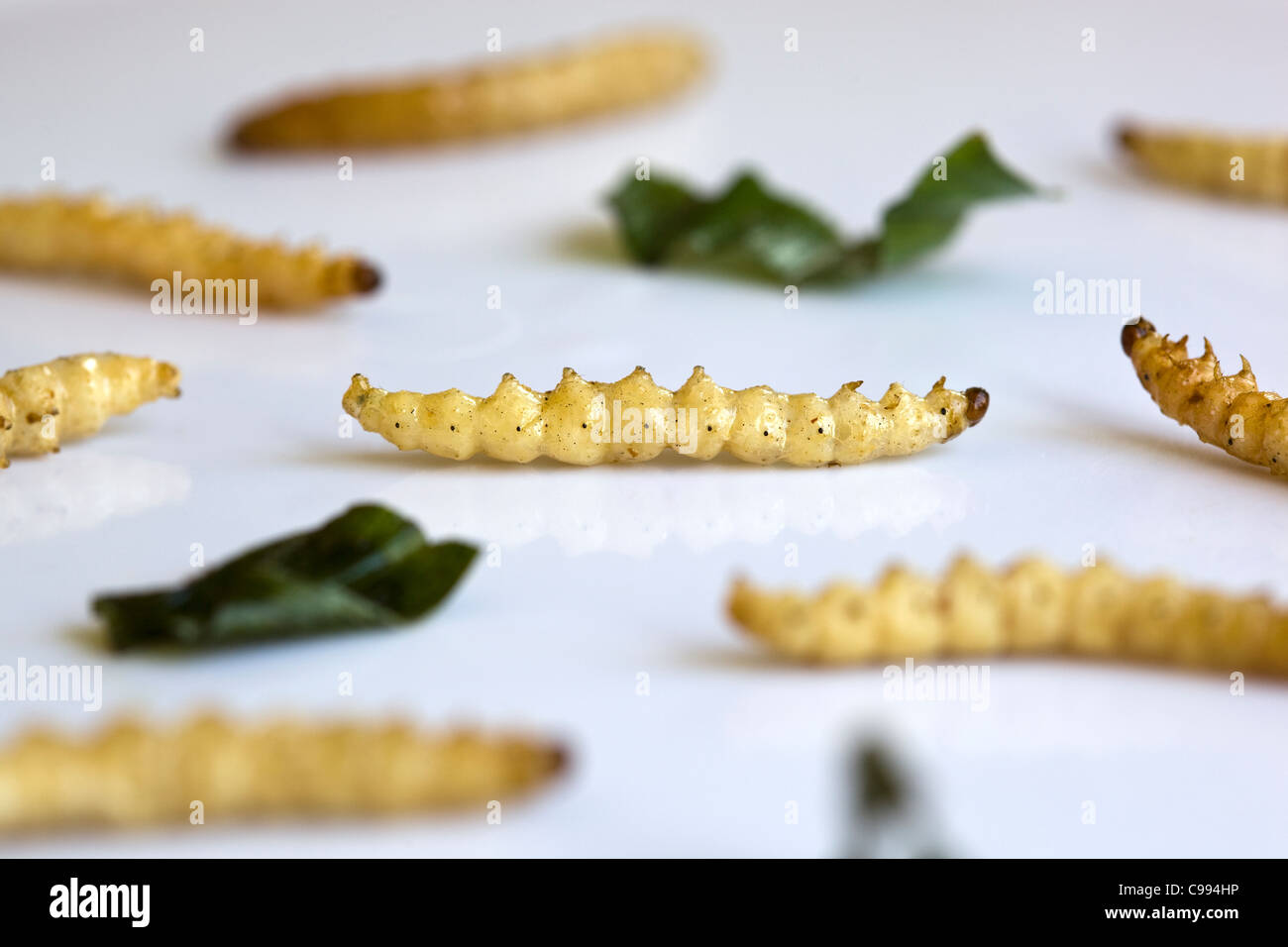 Cooked bamboo caterpillars hi-res stock photography and images - Alamy