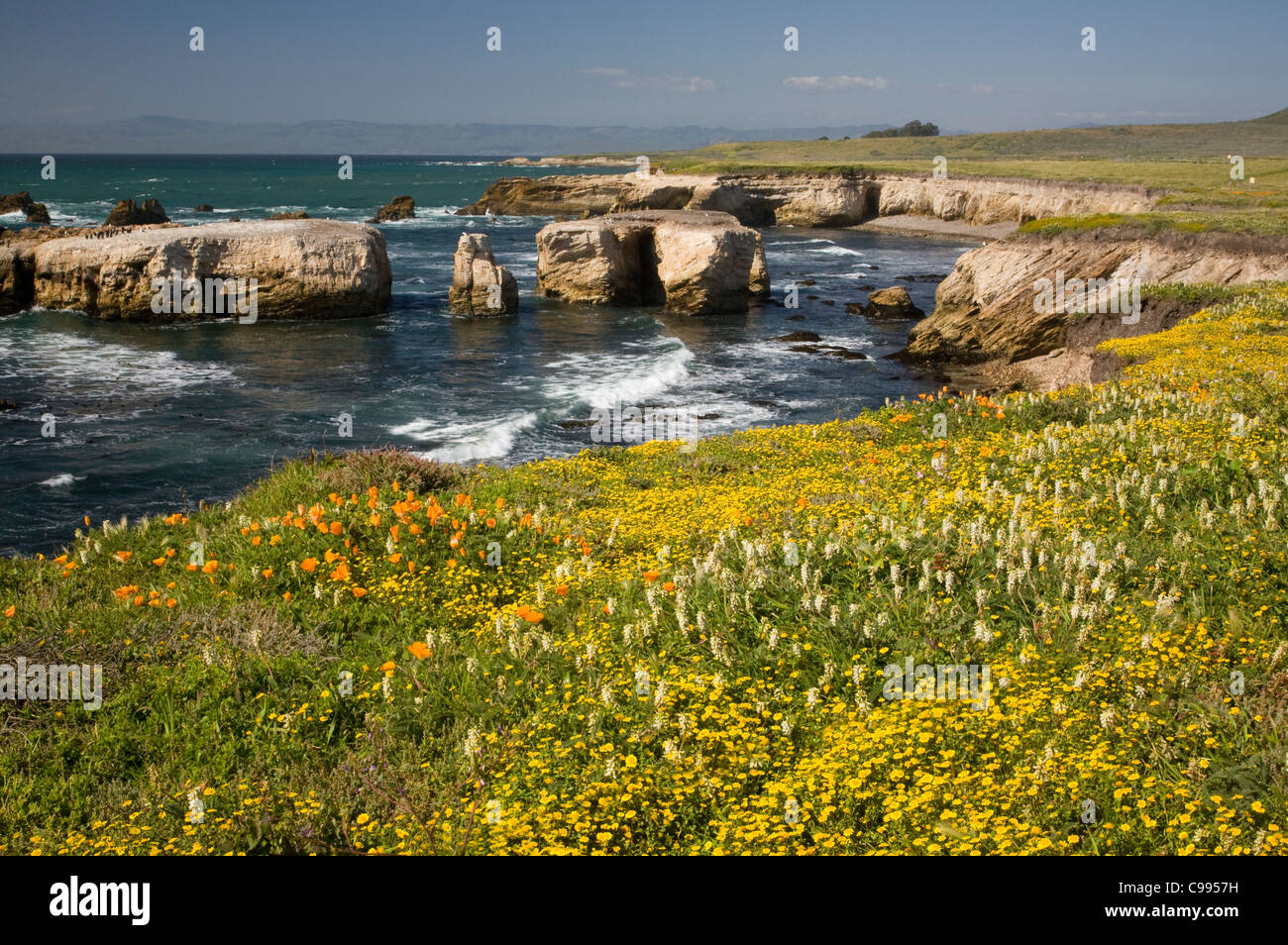 CALIFORNIA - Rugged coastline near Coon Creek Beach on the Point Buchon ...