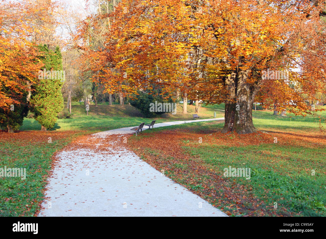 Autumn park scene Stock Photo - Alamy