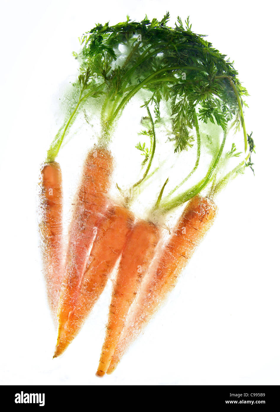 Nutrition of carrots Cut Out Stock Images & Pictures - Alamy