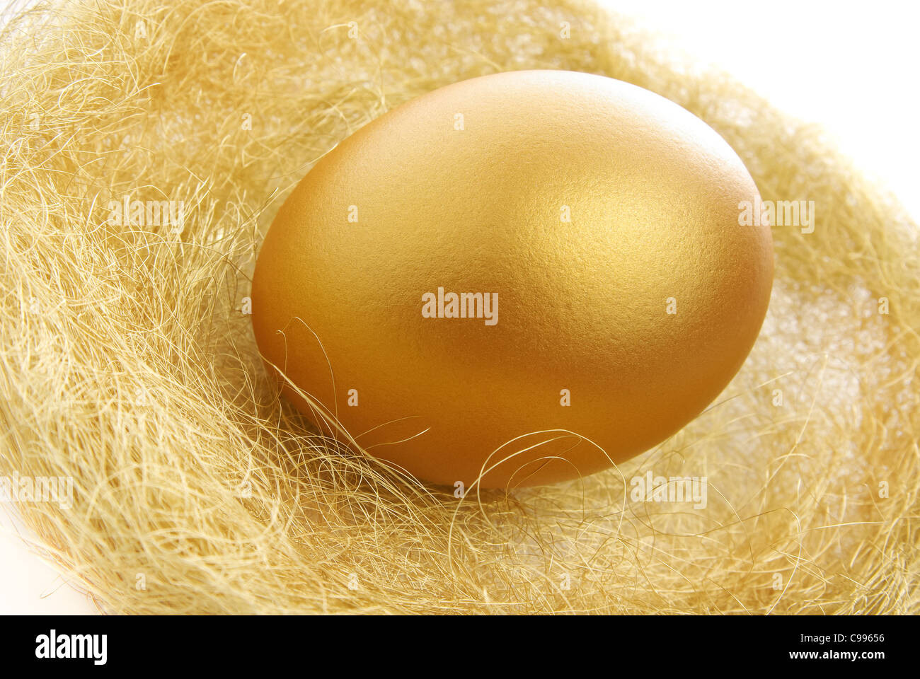 a single golden egg in the nest isolated on a white background Stock ...