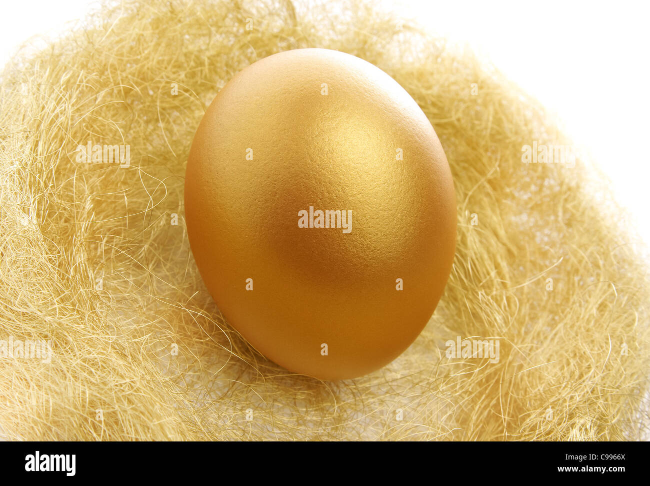 a single golden egg in the nest isolated on a white background Stock ...