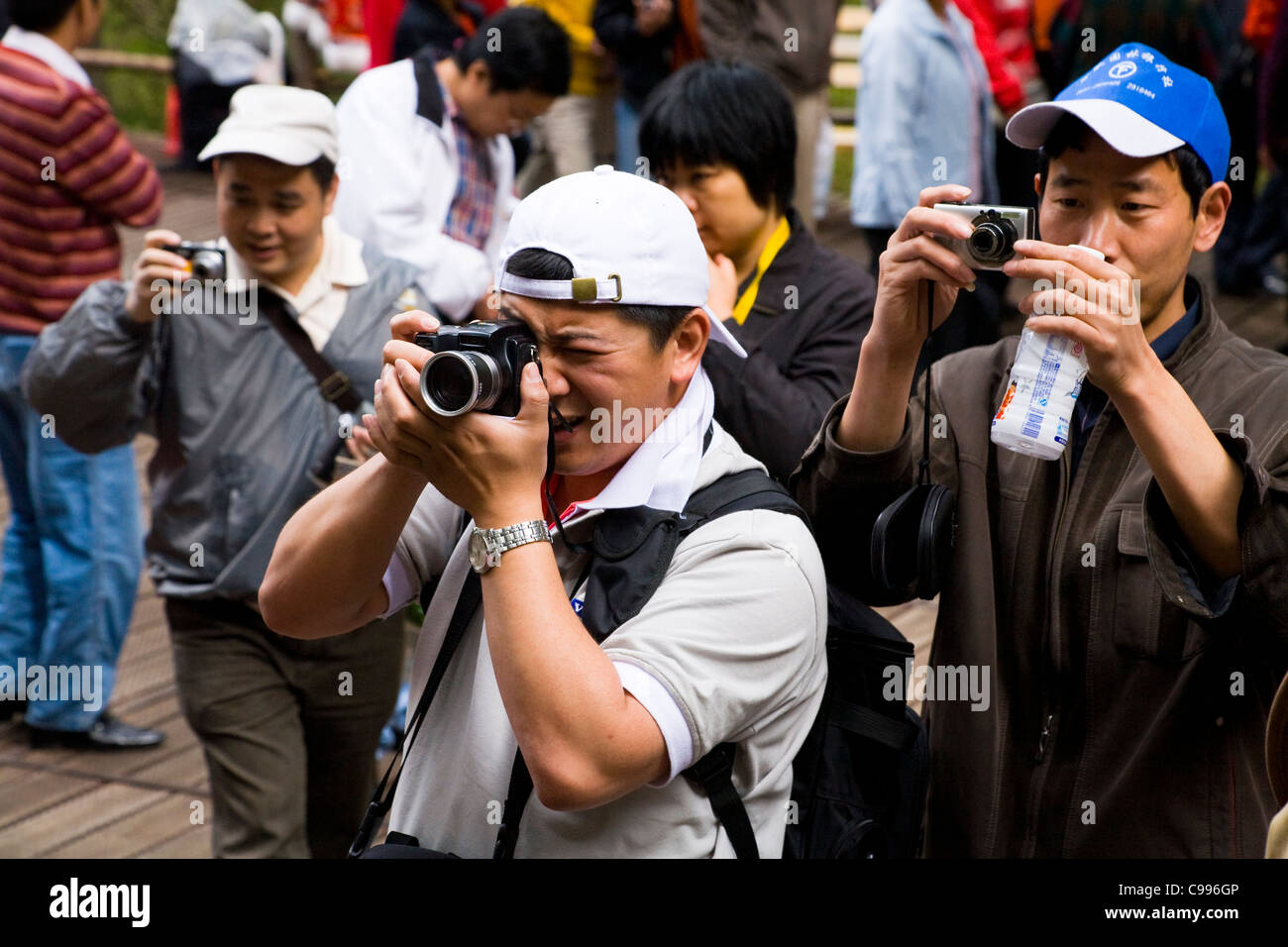 Tourists Taking Pictures