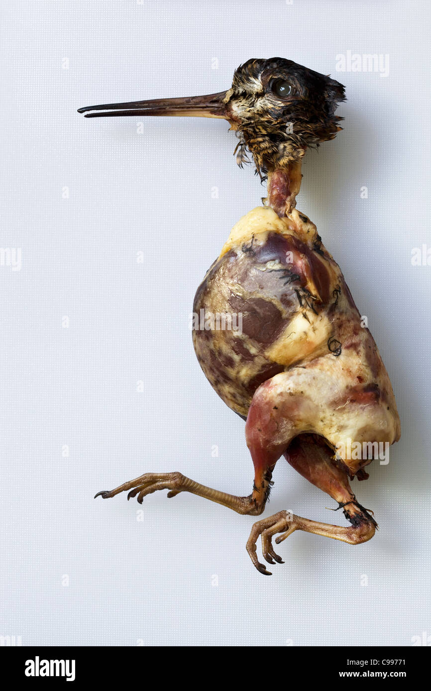 Plucked bird hi-res stock photography and images - Alamy