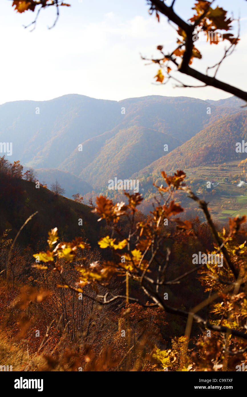 View of grass, trees valley and hills in autumn Stock Photo - Alamy