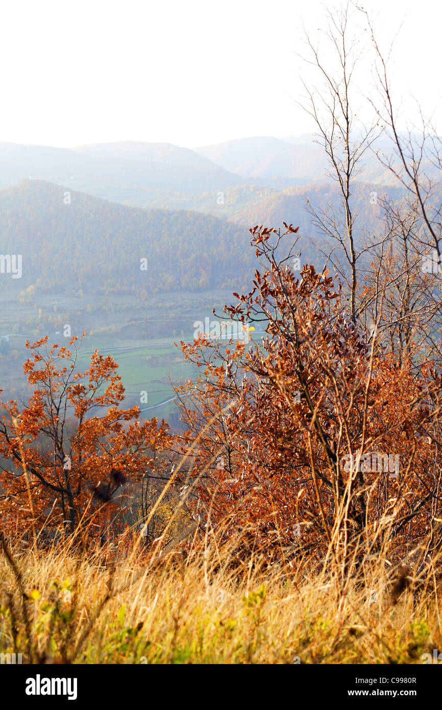 View of grass, trees valley and hills in autumn Stock Photo - Alamy