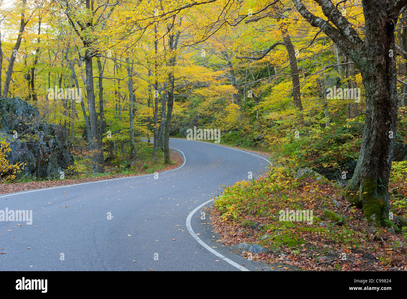 The Colors of Autumn Stock Photo - Alamy