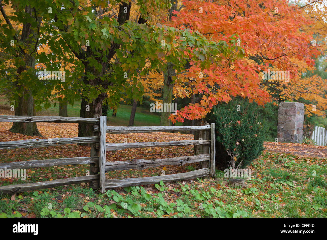 The Colors of Autumn Stock Photo - Alamy