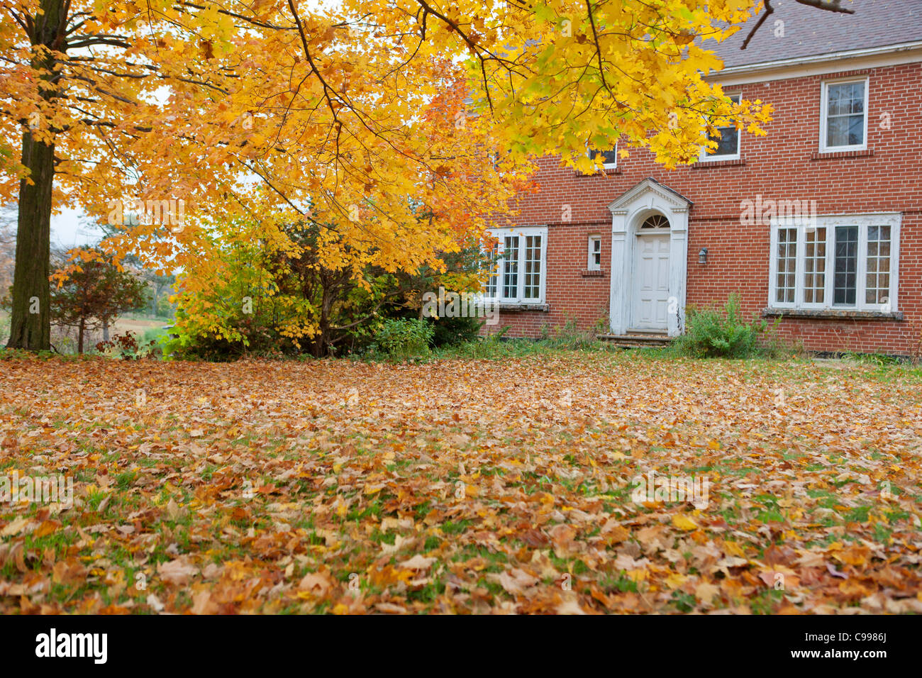 The Colors of Autumn Stock Photo - Alamy