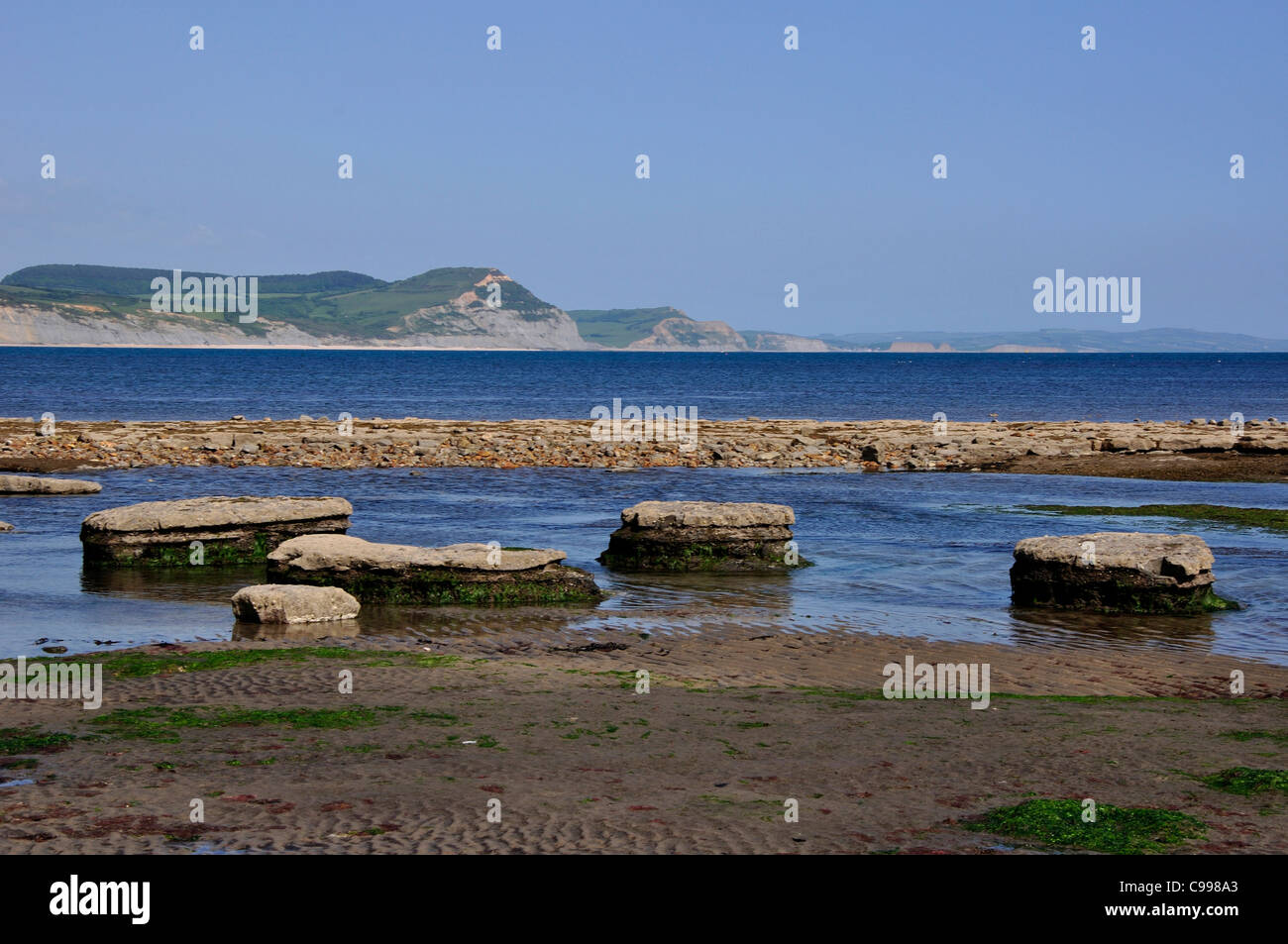 Broad Ledge Lyme Regis on the Jurassic Coast World Heritage Site UK ...