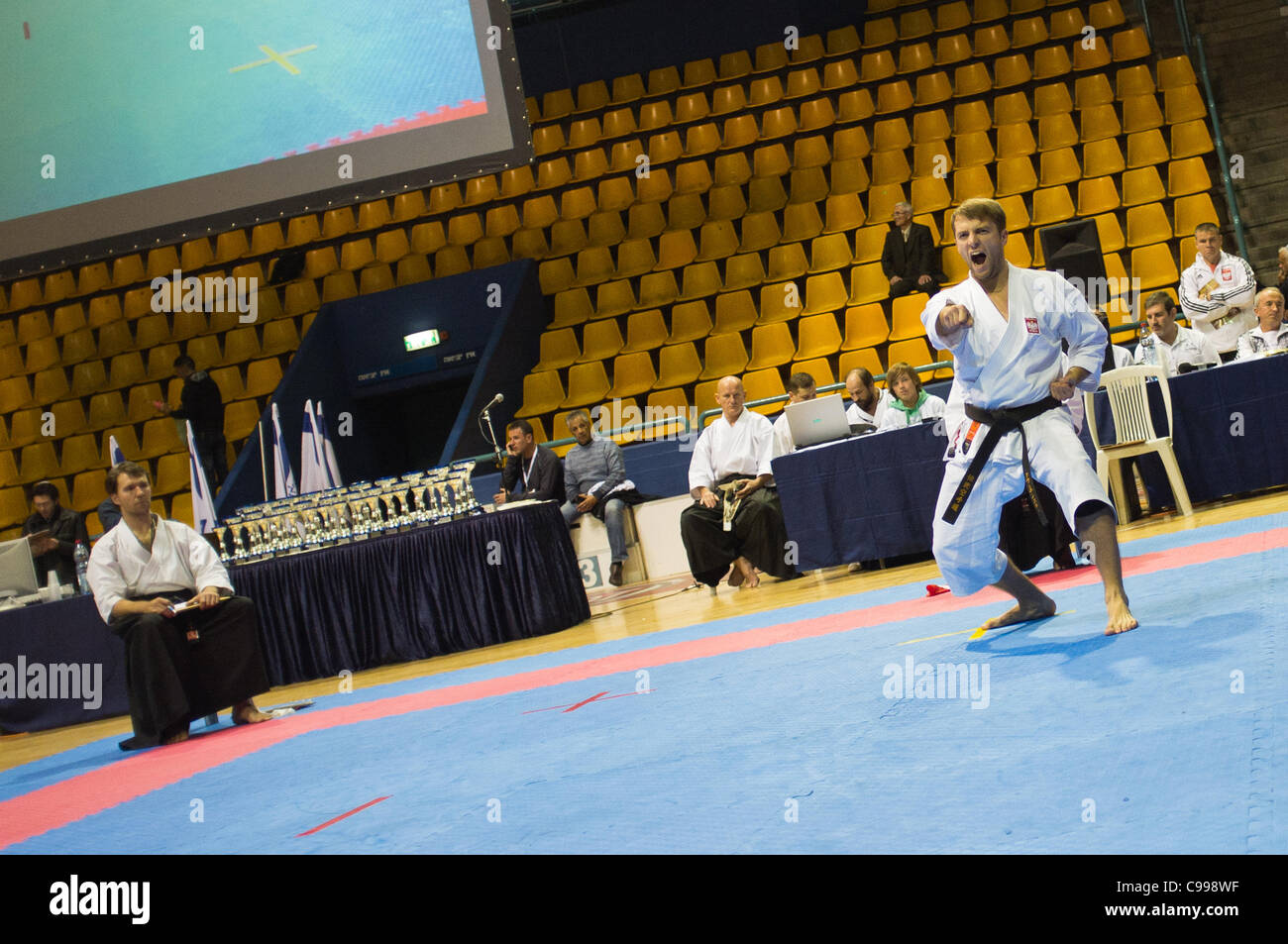 An athlete performs a Kata before judges at the 2011 European ...