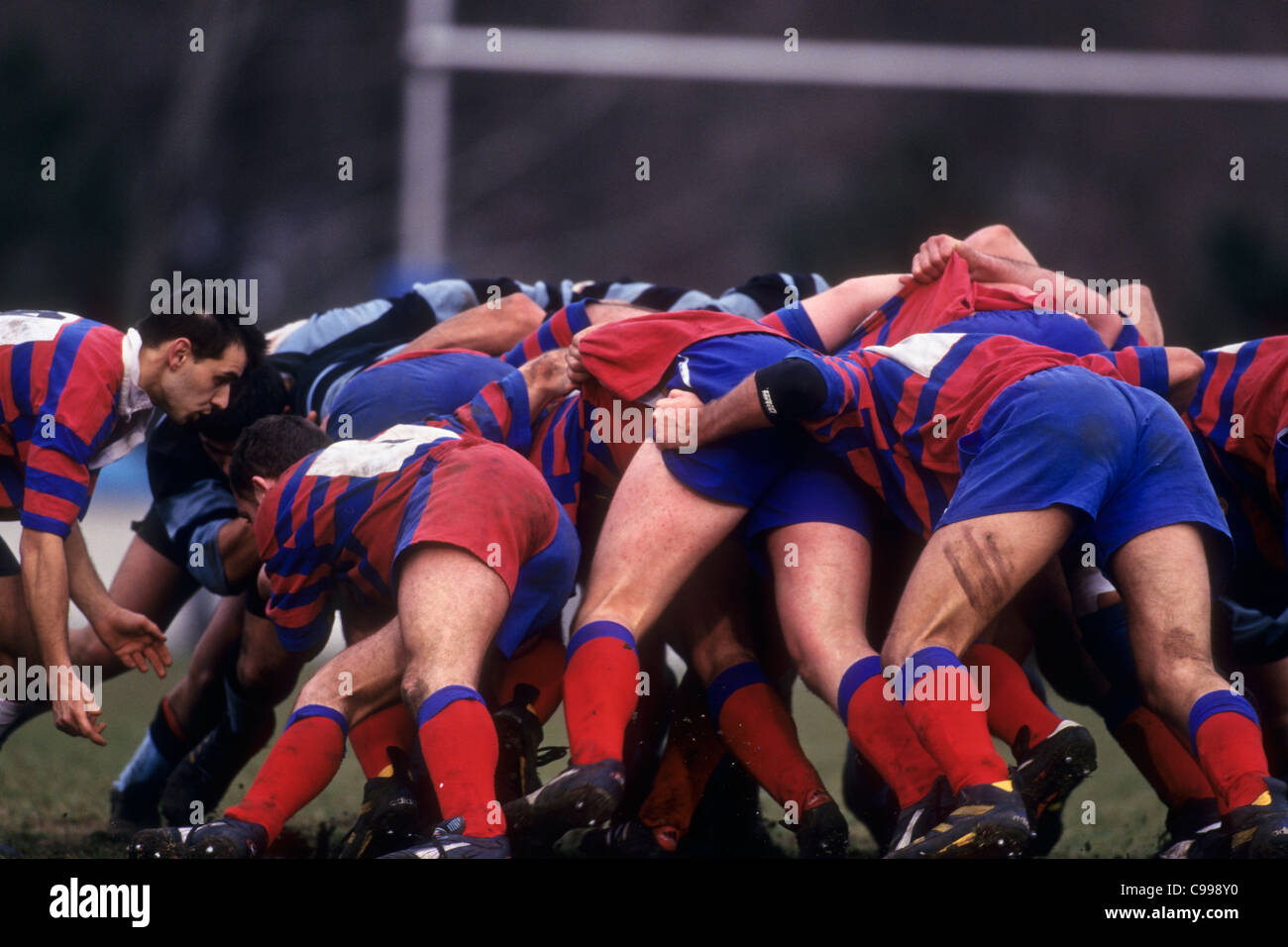 Rugby match action Stock Photo - Alamy