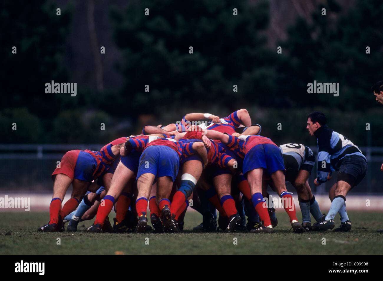 Rugby match action Stock Photo - Alamy