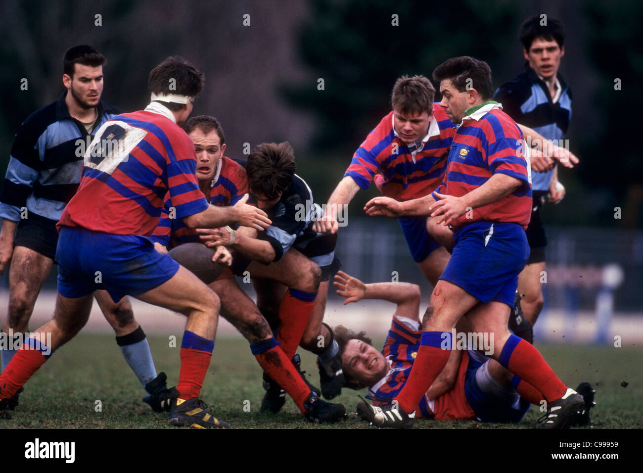 Rugby match action Stock Photo - Alamy