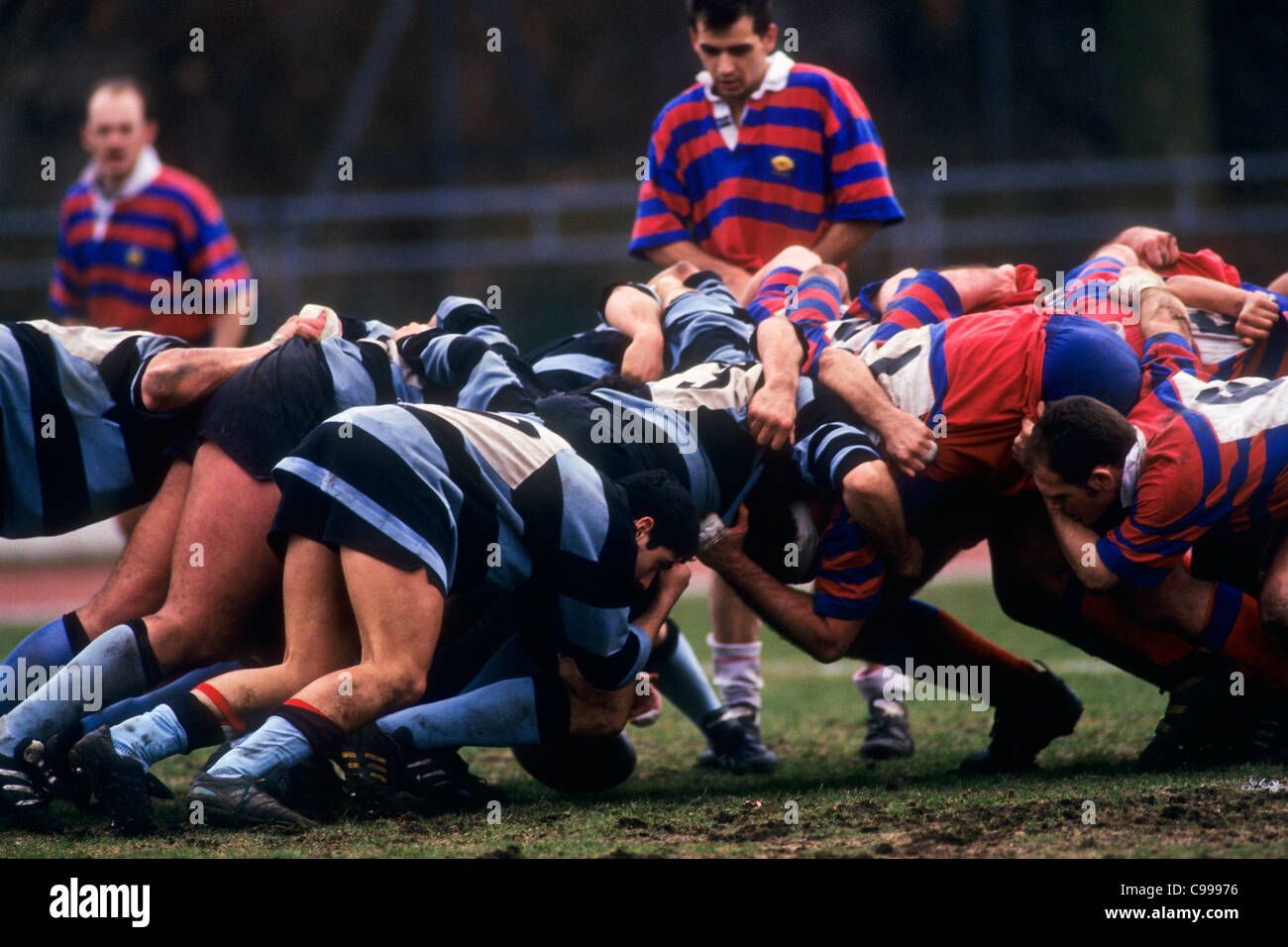 Rugby match action Stock Photo - Alamy