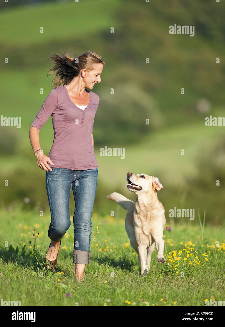 woman and Labrador Retriever Stock Photo - Alamy