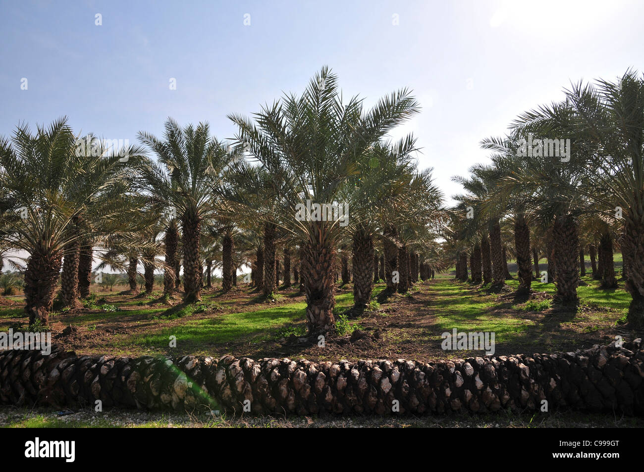 Israel, Beit Shean Valley Stock Photo - Alamy