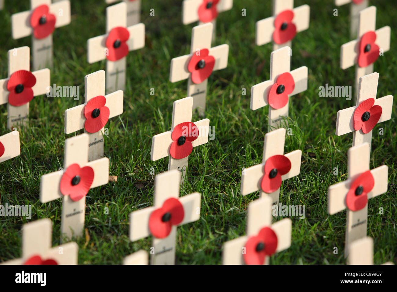 Wooden remembrance cross hi-res stock photography and images - Alamy