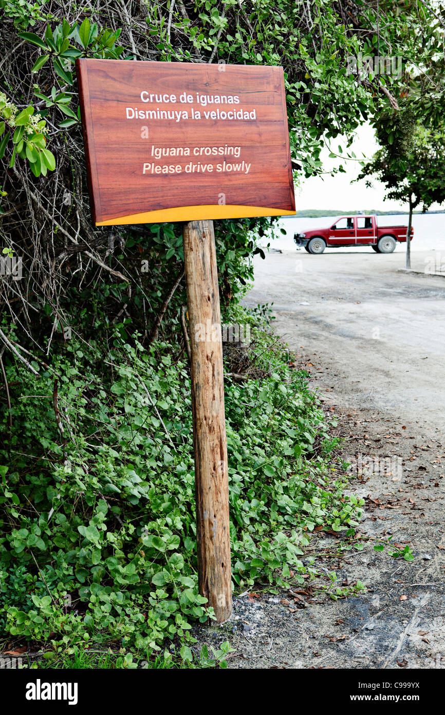 Road sign warning about marine iguanas at Isabela island, Galapagos ...